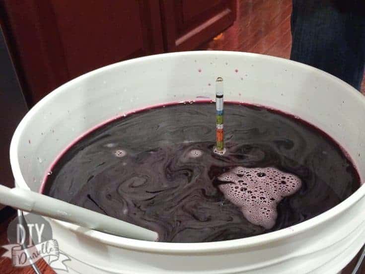 Tips for Making Wine from a Homemade Wine Kit - DIY Danielle®