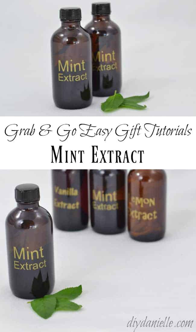 DIY Mint Extract: An Easy Gift from the Garden - DIY Danielle®