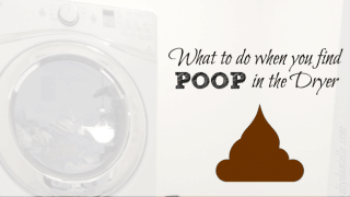 How to Clean Poop Out of the Dryer - DIY Danielle®