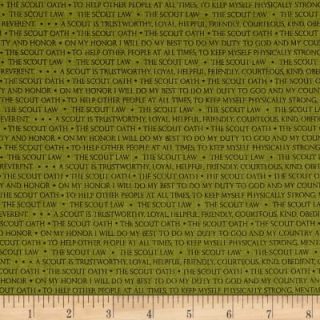 How to Sew or Iron on Boy Scout Patches - DIY Danielle®