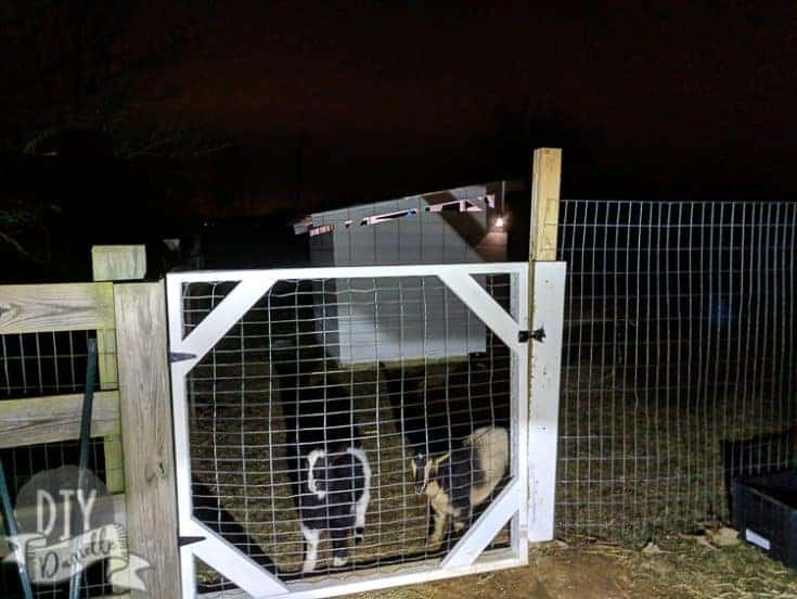 Install a Solar Shed Light with Remote - DIY Danielle®