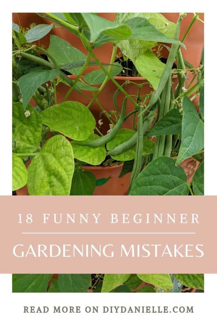 18 Funny Beginner Gardening Mistakes - DIY Danielle®