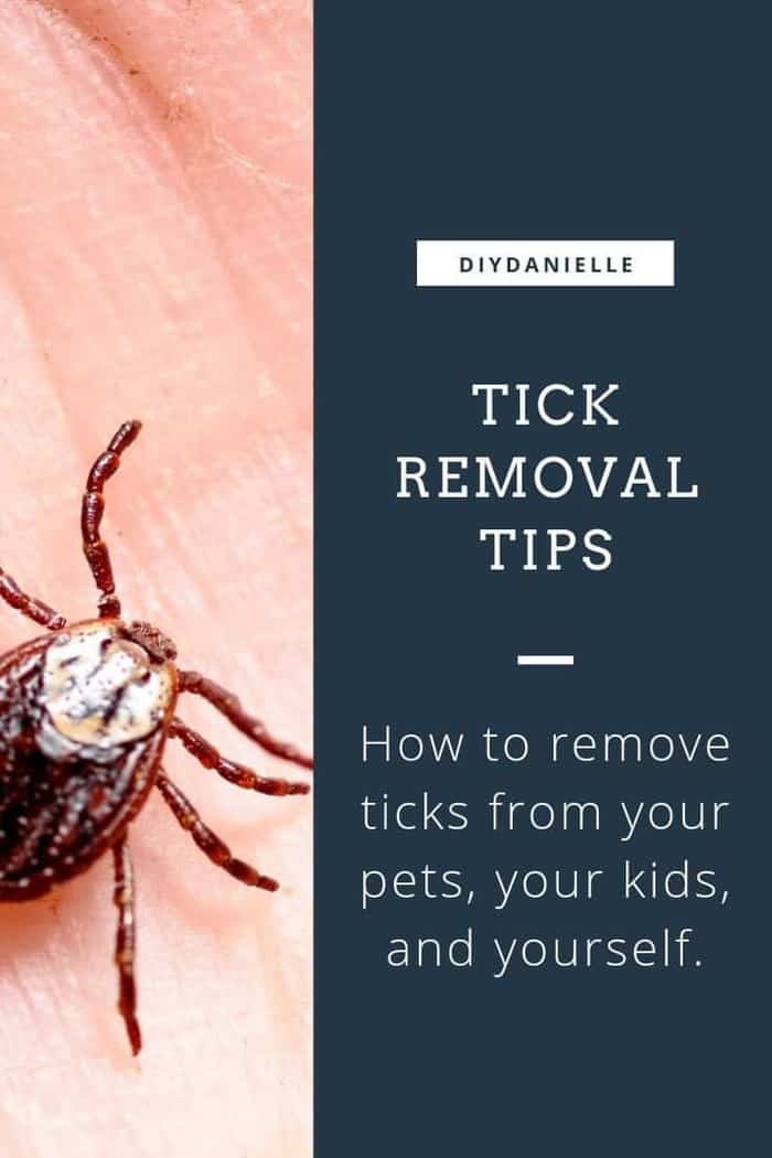 How to Remove a Tick - DIY Danielle®