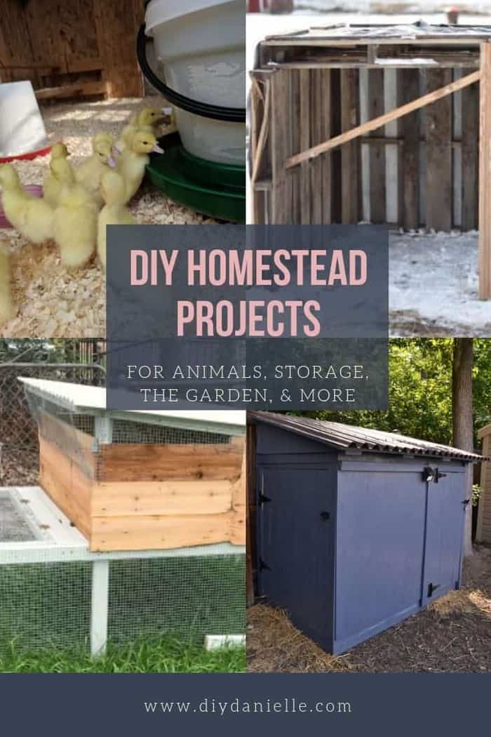 DIY Homestead Projects for Your To-Do List - DIY Danielle®