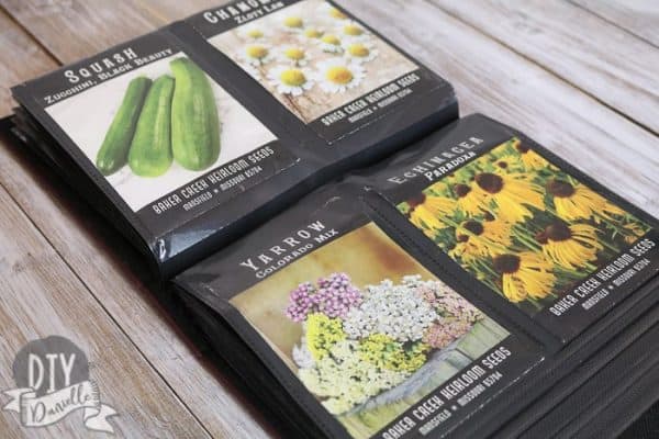How to Store Seeds for Your Garden - DIY Danielle®