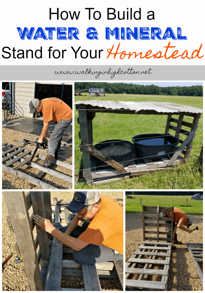 DIY Homestead Projects for Your To-Do List - DIY Danielle®
