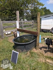 How to Keep a Water Trough Clean for Livestock - DIY Danielle®
