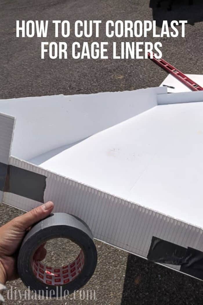 How to Cut Coroplast for a Cage Liner - DIY Danielle®