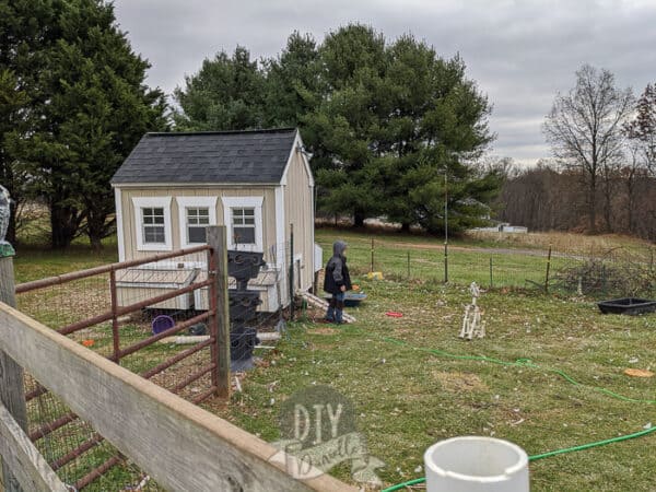 DIY Duck Run: How to Build a Predator Proof Space for your Ducks or ...