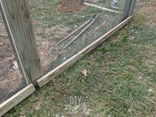 DIY Duck Run: How to Build a Predator Proof Space for your Ducks or ...