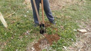 How to Dig a Fence Post Hole by Hand - DIY Danielle®