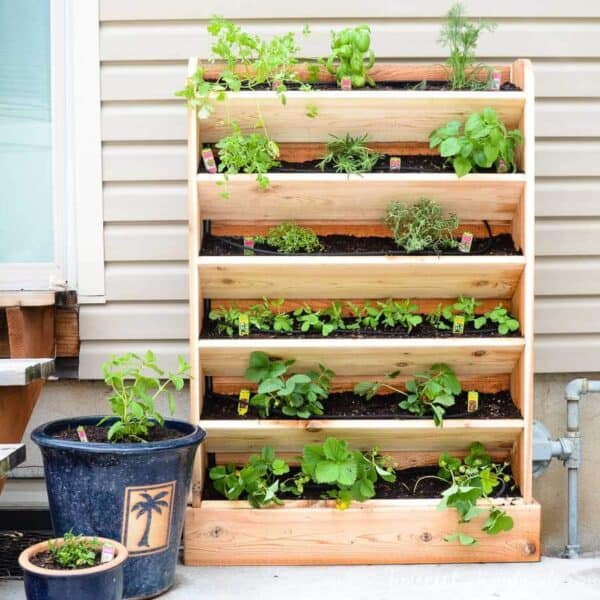 27 DIY Garden Ideas You Can Make On a Small Budget