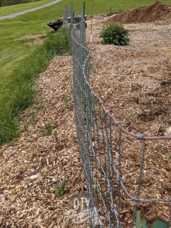 Types of Wire Fencing - DIY Danielle®