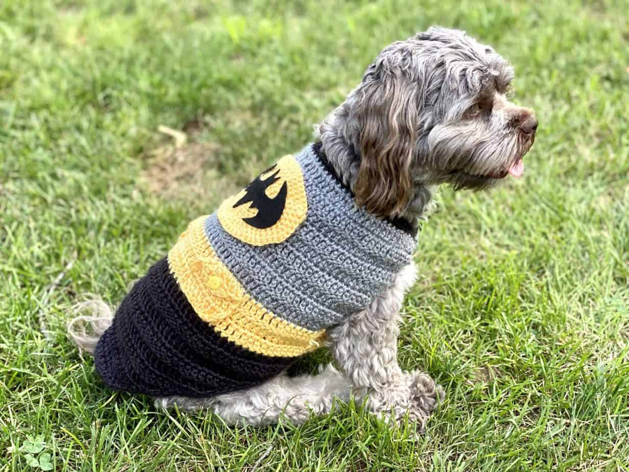 Adorable Dog Halloween Costumes To DIY That Are Budget-Friendly
