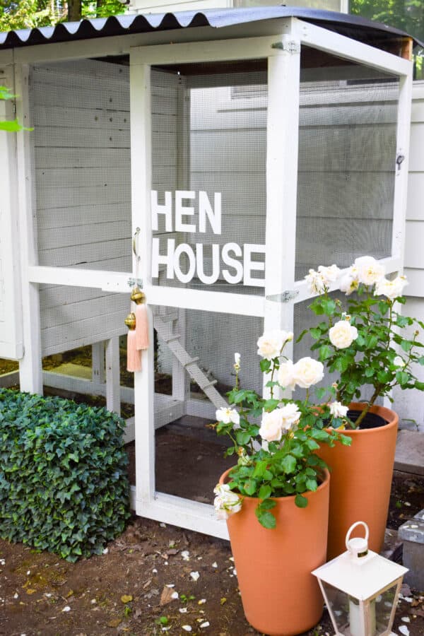 15 Budget-Friendly DIY Chicken Coops That Are A Must See