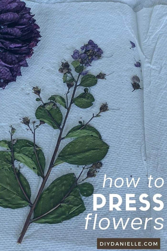 How to Press Flowers - DIY Danielle®