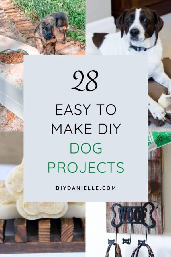 28 Easy To Make DIY Dog Projects