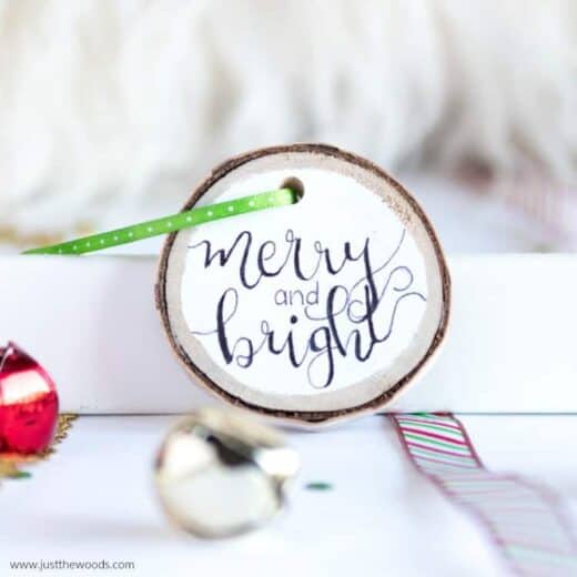 33 Amazing DIY Christmas Ornaments To Give As Gifts