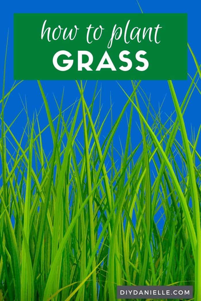 How to Plant Grass - DIY Danielle®
