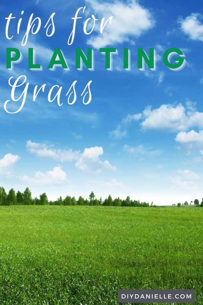 How to Plant Grass - DIY Danielle®