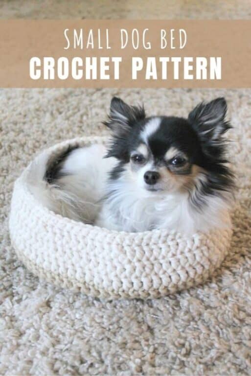 28 Easy To Make DIY Dog Projects
