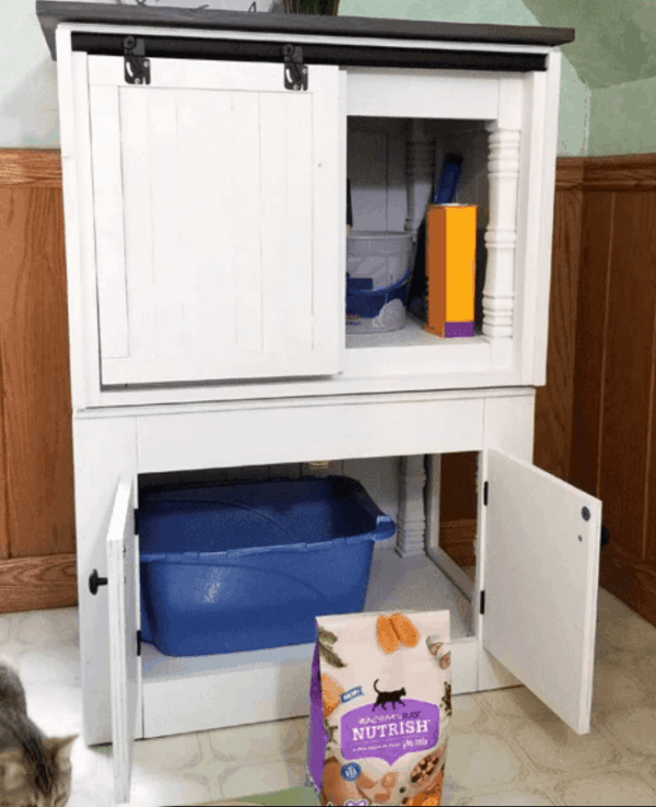 19 Unique DIY Cat Projects That Your Pet Will Love!