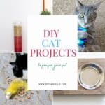 19 Unique DIY Cat Projects That Your Pet Will Love!