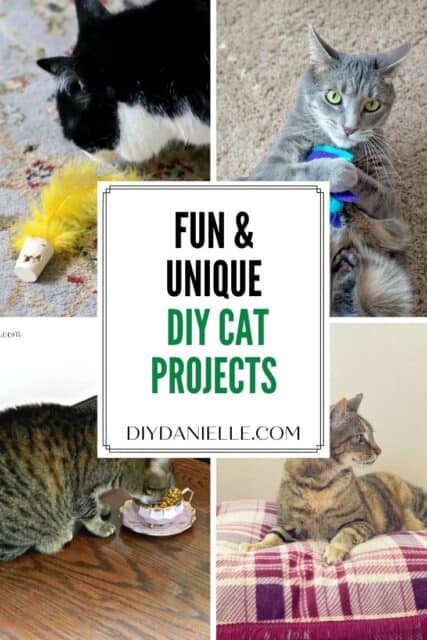 19 Unique DIY Cat Projects That Your Pet Will Love!