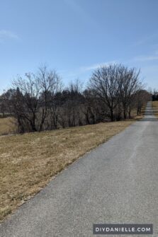 How to Clear Land: A Beginner’s Guide to Clearing Property - DIY Danielle®