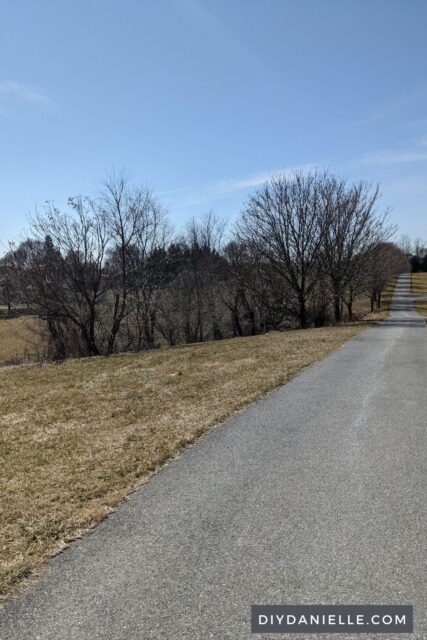 How to Clear Land: A Beginner’s Guide to Clearing Property - DIY Danielle®