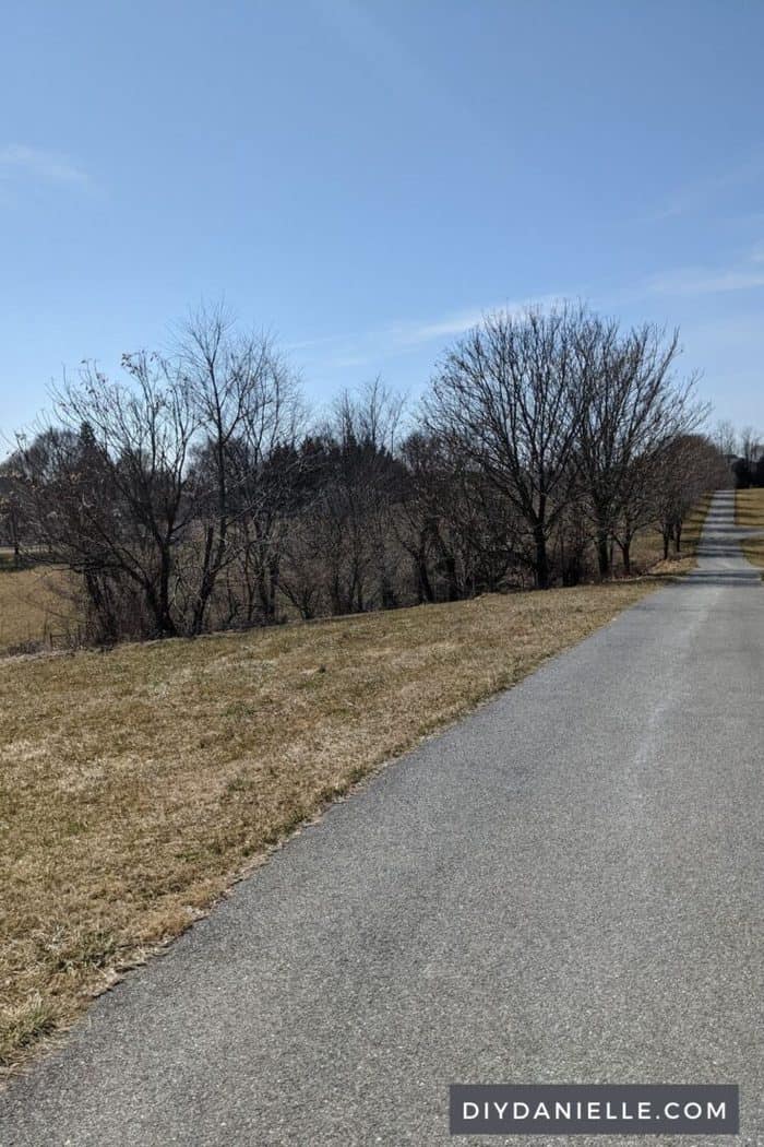 How to Clear Land: A Beginner’s Guide to Clearing Property - DIY Danielle®