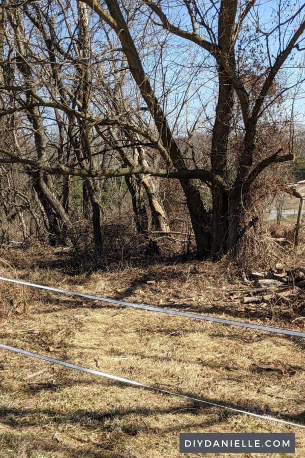 How to Clear Land: A Beginner’s Guide to Clearing Property - DIY Danielle®