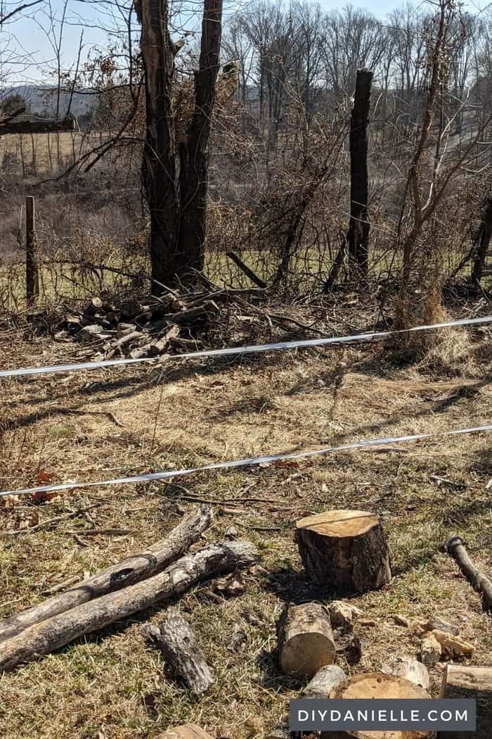 How to Clear Land: A Beginner’s Guide to Clearing Property - DIY Danielle®