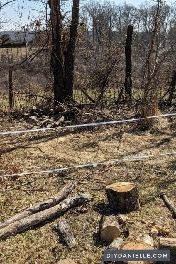 How to Clear Land: A Beginner’s Guide to Clearing Property - DIY Danielle®