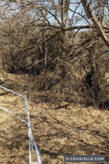 How to Clear Land: A Beginner’s Guide to Clearing Property - DIY Danielle®