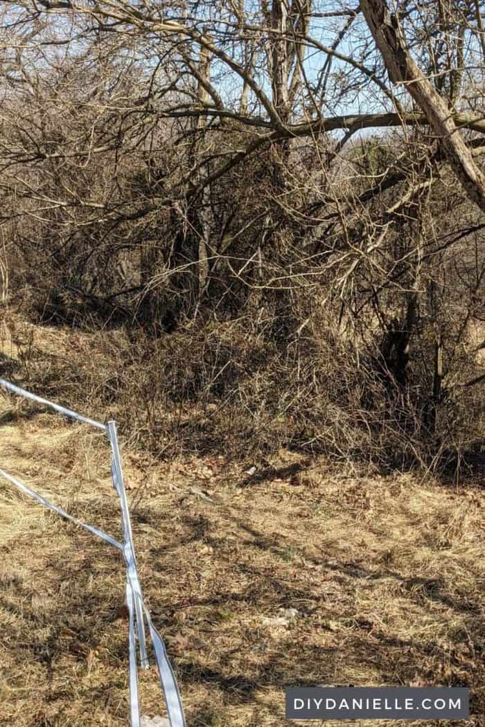 How to Clear Land: A Beginner’s Guide to Clearing Property - DIY Danielle®