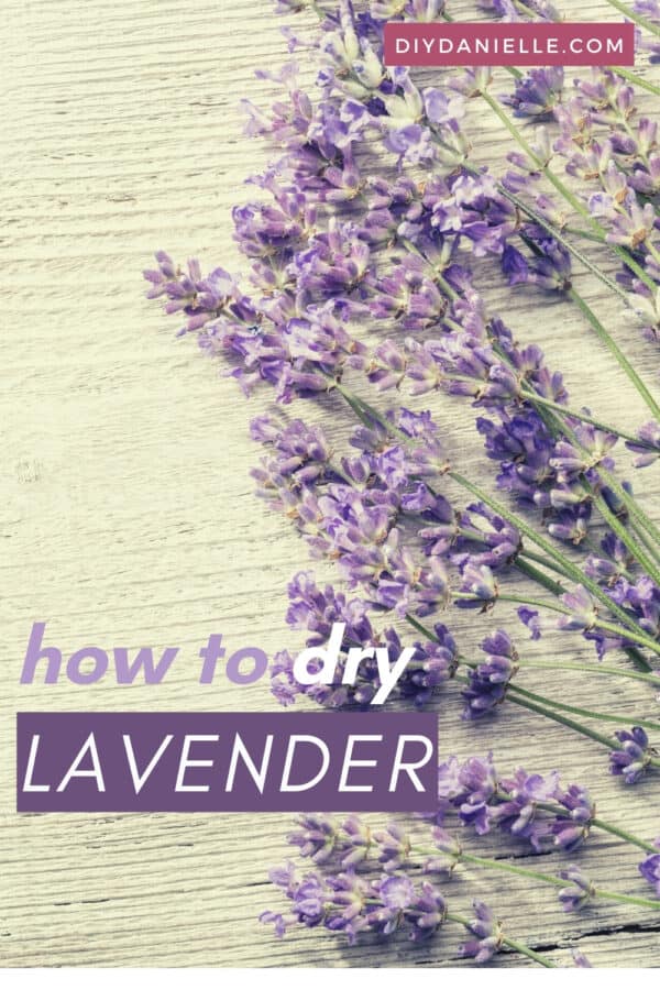 How to Dry Lavender from Your Garden - DIY Danielle®