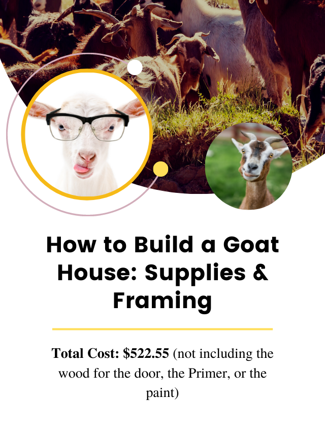 How to Build the Frame for a Run In Goat Shed - DIY Danielle®