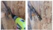 DIY Chicken Roost Idea Using Tree Branches! - DIY Danielle®