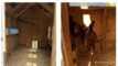 DIY Chicken Roost Idea Using Tree Branches! - DIY Danielle®