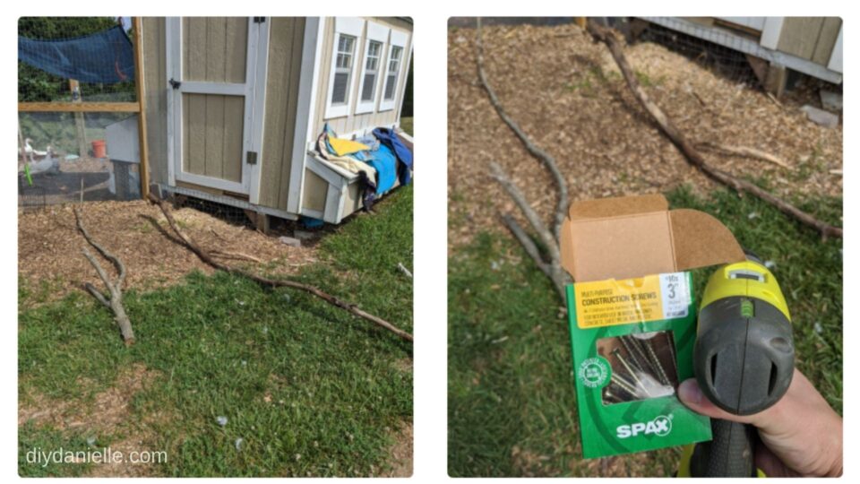 DIY Chicken Roost Idea Using Tree Branches! - DIY Danielle®