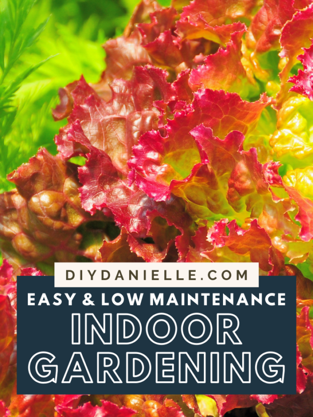 Easy Indoor Gardening with the Gardyn Hydroponics System - DIY Danielle®