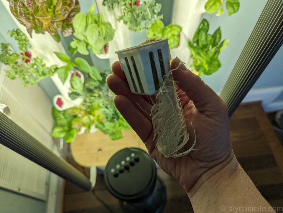 The Hydroponic Garden: An Indoor Garden System - DIY Danielle®