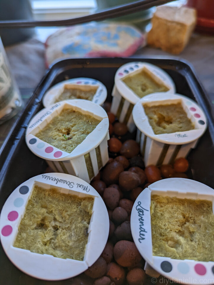 The Hydroponic Garden: An Indoor Garden System - DIY Danielle®