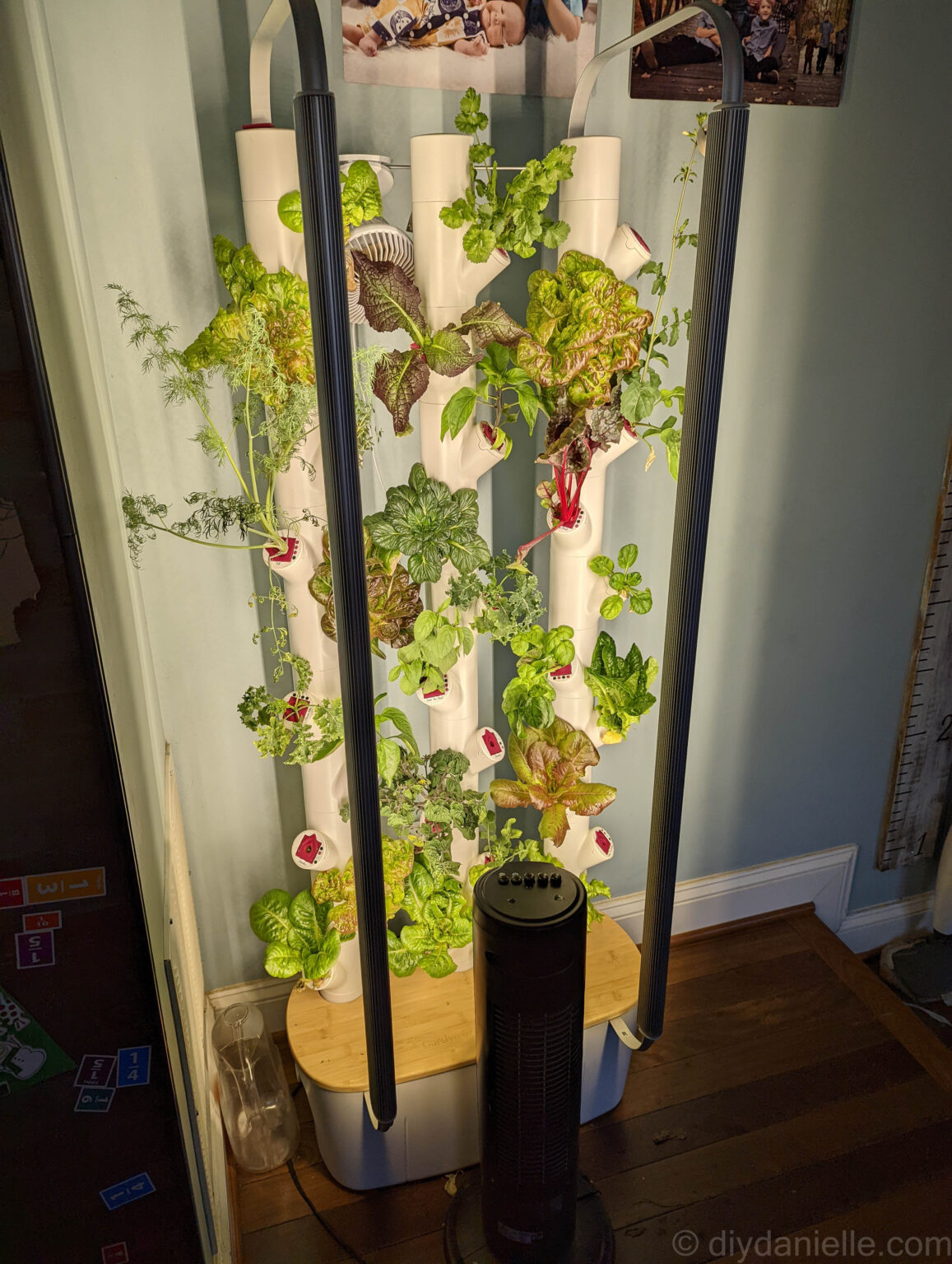 The Hydroponic Garden: An Indoor Garden System - DIY Danielle®