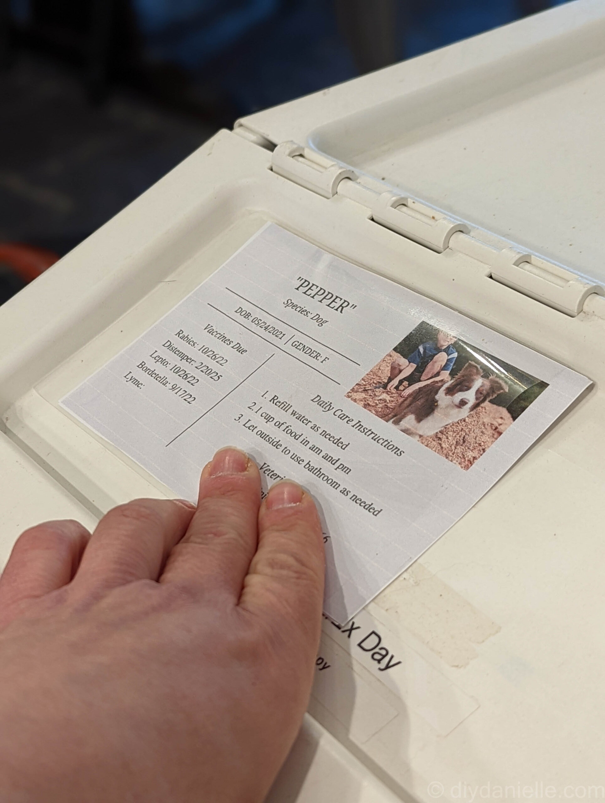 Printable Pet Information Sheet: Free Farm Planner - DIY Danielle®