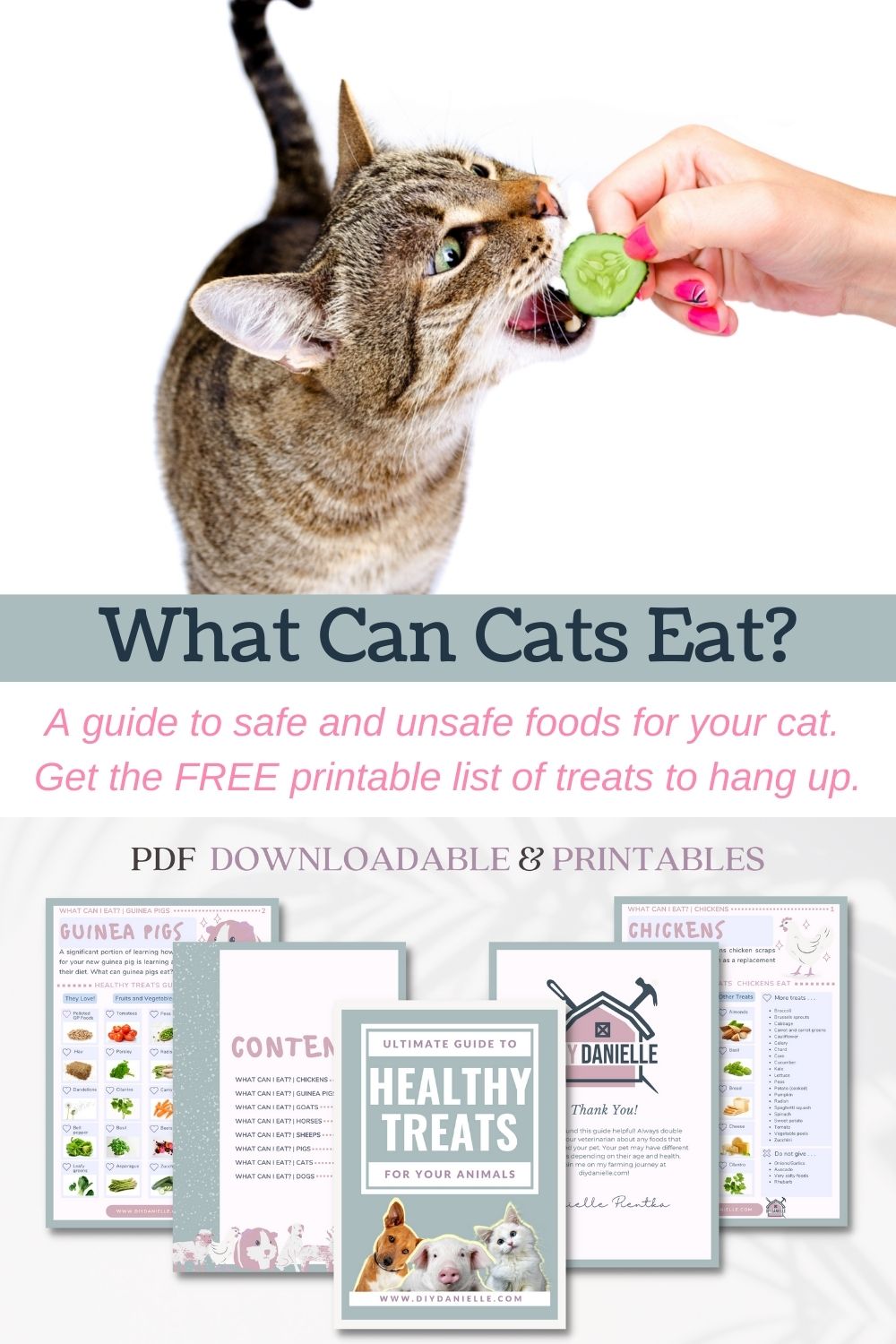 What Can Cats Eat? Here's What You Can Feed Your Feline Friend - DIY ...