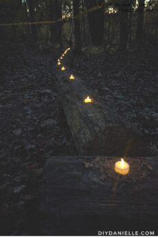 DIY Haunted Trail for Halloween - DIY Danielle®