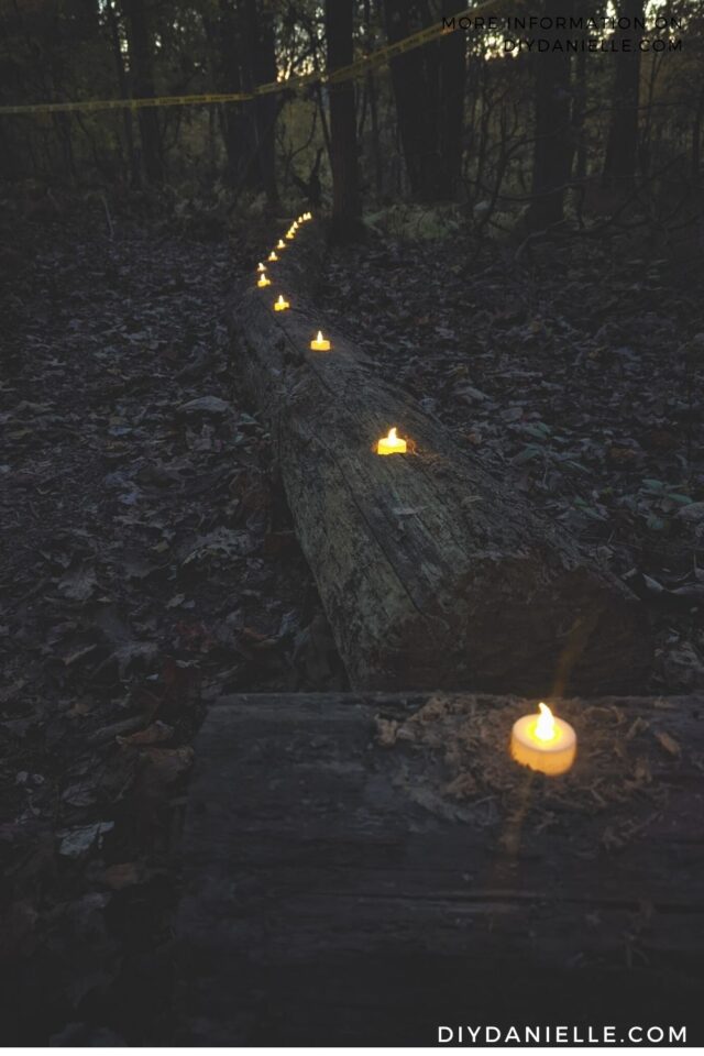 DIY Haunted Trail for Halloween - DIY Danielle®