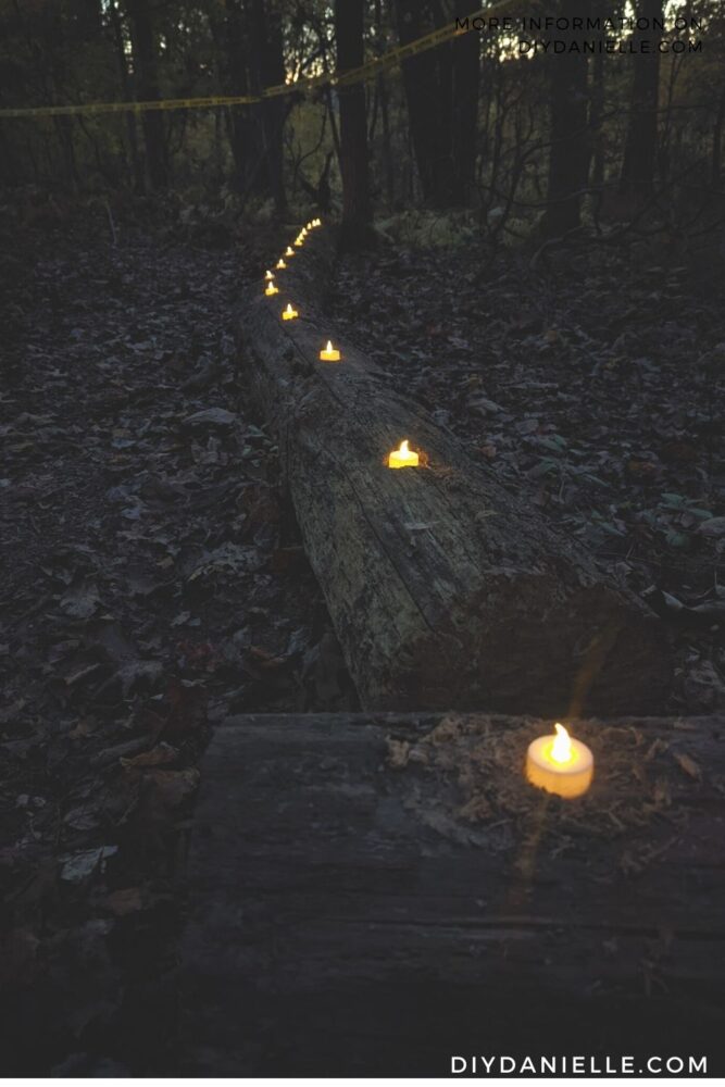 DIY Haunted Trail for Halloween - DIY Danielle®